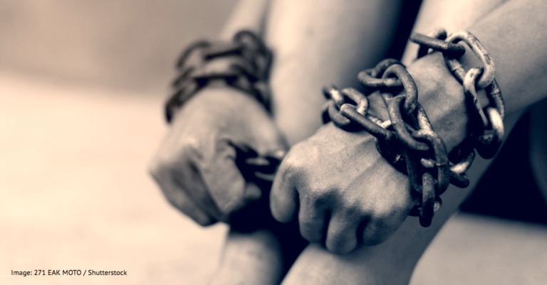 Fact Sheet Anonymous Companies And Human Trafficking The Fact Coalition